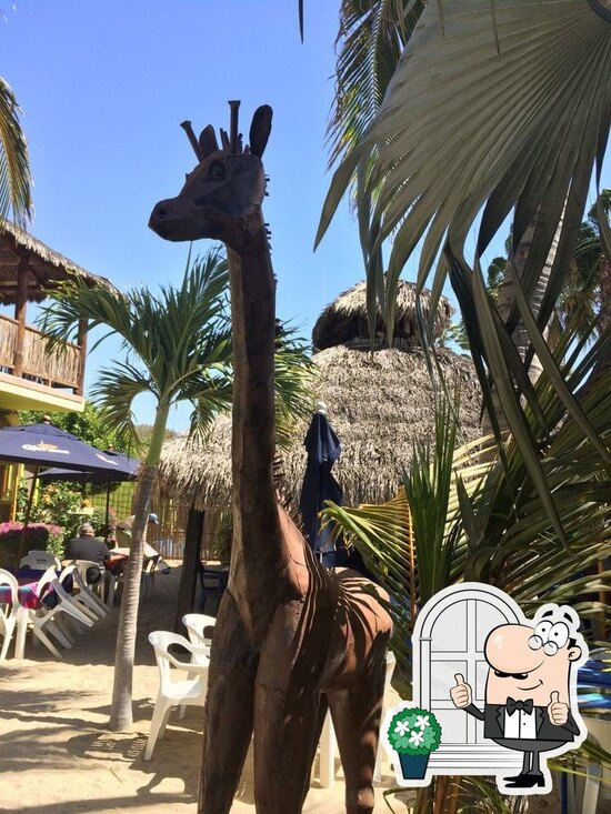 Buzzards Bar & Grill, San Felipe - Restaurant menu and reviews