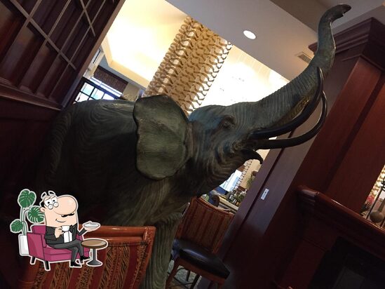 Safari Grille, Erie - Restaurant menu, prices and reviews