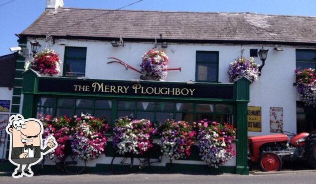 Menu at The Merry Ploughboy Gastro Pub, Ireland, Edmondstown Rd