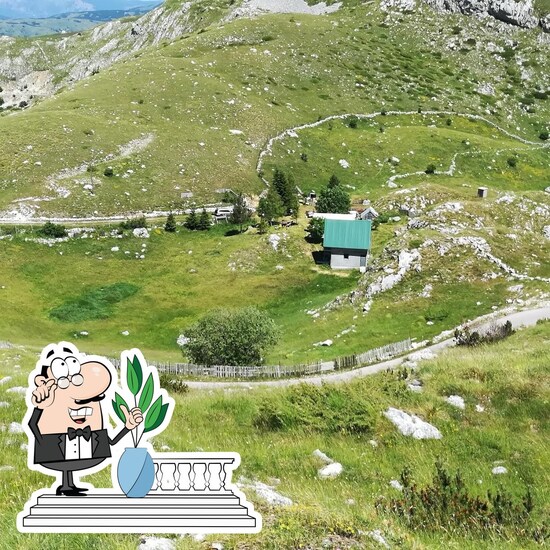 Mica Vavica Herceg Novi. Bar, Herceg Novi - Restaurant reviews