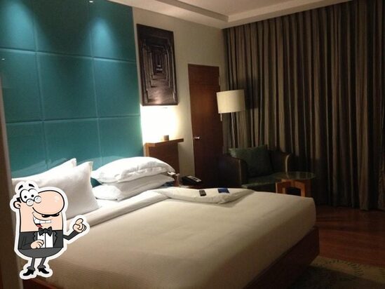 Oasis - Radisson Blu, Chennai - Restaurant menu, prices and reviews