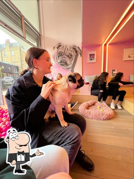 CuppaPug in London - Restaurant reviews