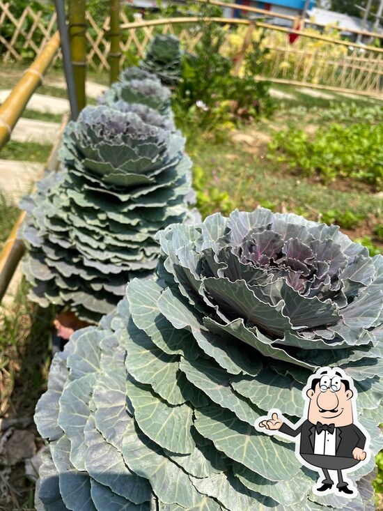 Grandma’s Cafe แกรนด์มาคาเฟ่, Tha Tum - Restaurant reviews