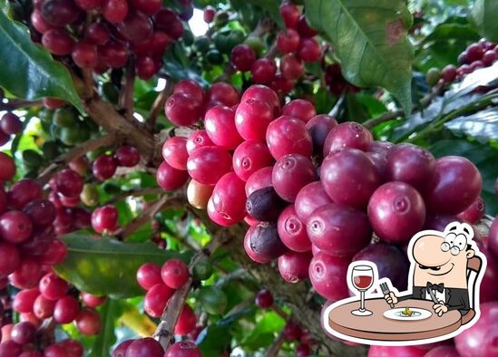 Café DuDu especial - Menú del restaurante, precios y reseñas