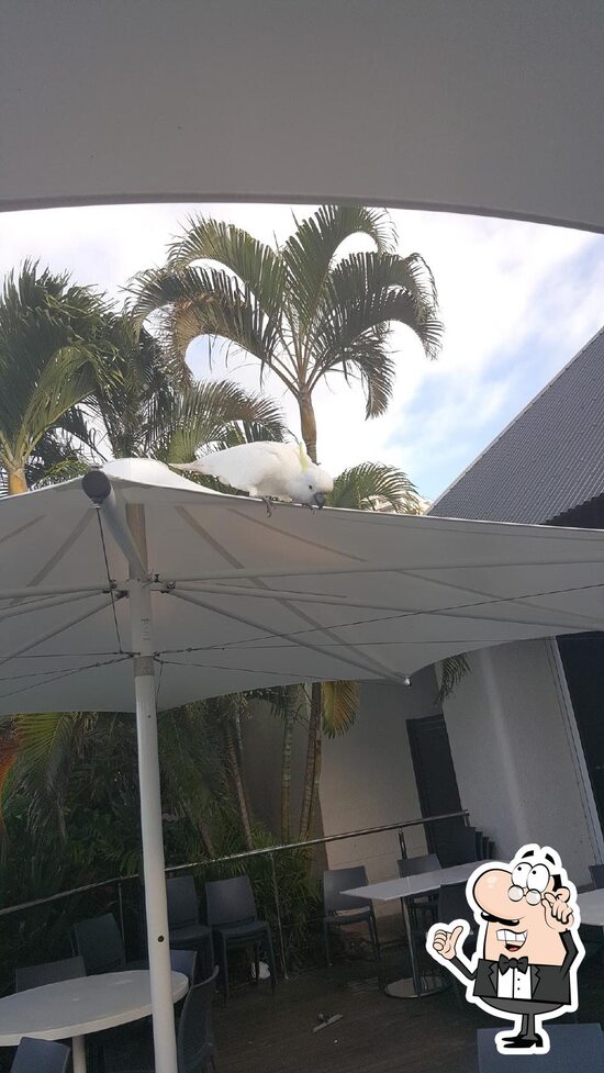 Verandah Bar, Hamilton Island - Restaurant menu, prices and reviews