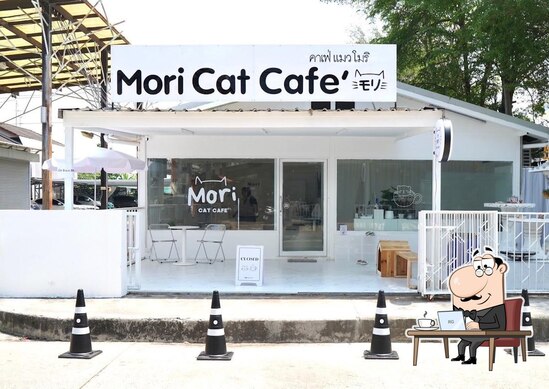 Mori Cat Cafe’, Bangkok - Restaurant reviews