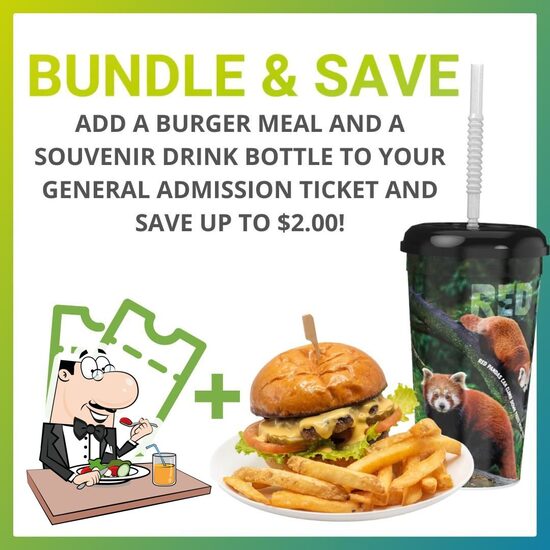 Jungle Grill, DeBary - Restaurant menu, prices and reviews
