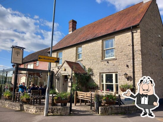 The Walnut Tree Inn, Mere - Restaurant menu, prices and reviews