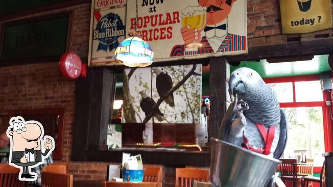 Menu at Sonka Irish Pub, Terre Haute