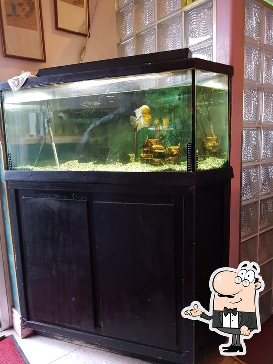 Ho Tong Restaurant, Victoria - Restaurant menu, prices and reviews