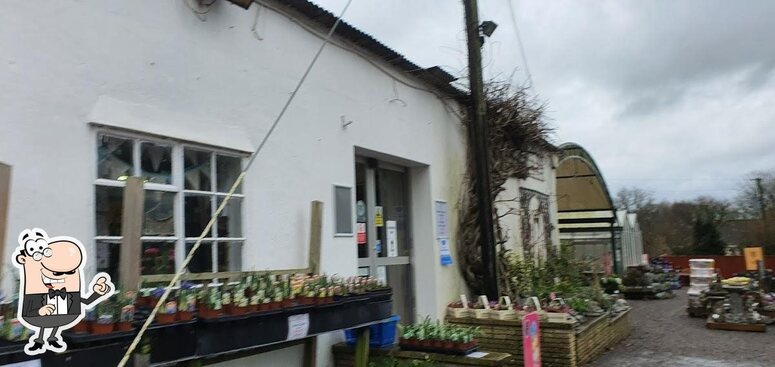 Chard Garden Centre in Chard - Restaurant menu and reviews