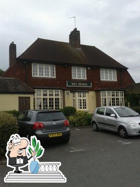 The Shy Horse in Chessington - Restaurant menu and reviews