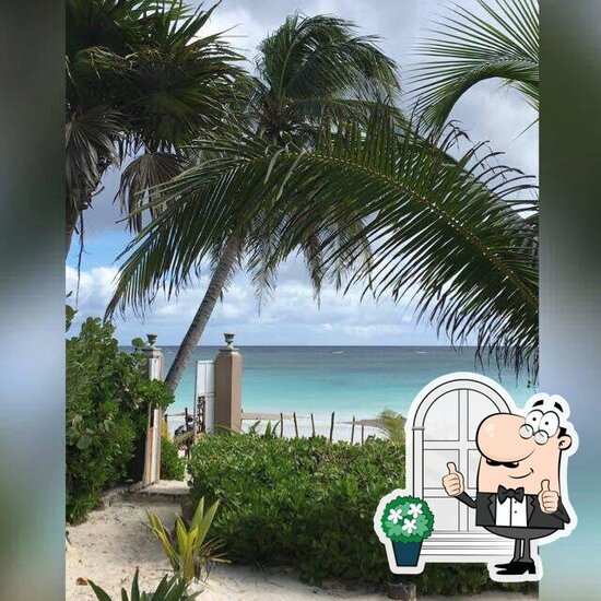Mayora TULUM, Tulum - Menú del restaurante, precios y reseñas