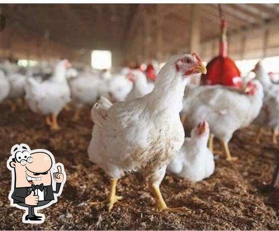 Ansiya Chicken Centre, Laila - Restaurant menu, prices and reviews