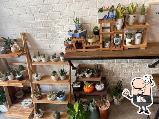 Bird Cafe, Bangkok - Restaurant reviews