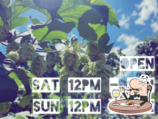 Project Brewing Co in Rowville