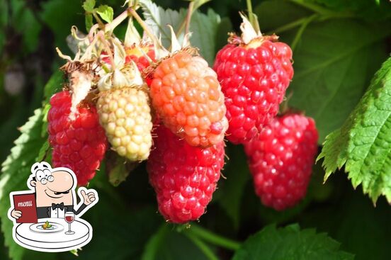 Malt Kiln Farm Shop in Rugby - Restaurant reviews