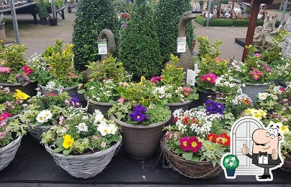 Milton Ernest Garden Centre in Bedford - Restaurant reviews