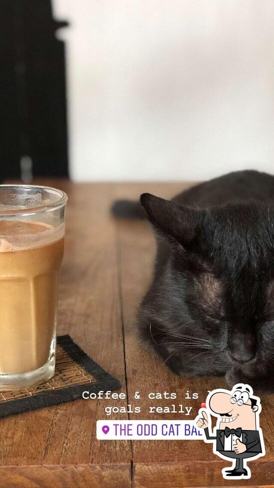 Menu at The Odd Cat Cafe, Mengwi