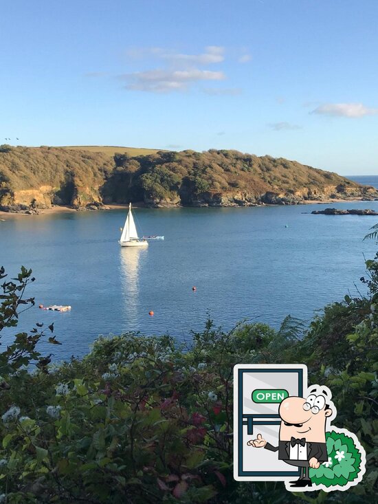 The Ferry Inn in Salcombe - Restaurant menu and reviews