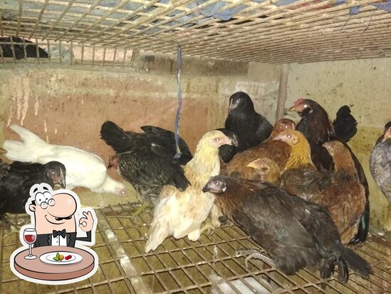 Menu at CHICKEN CHAMBER, Puri