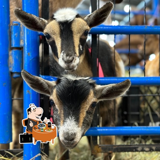 Alaska State Fair - Food Guide, Palmer