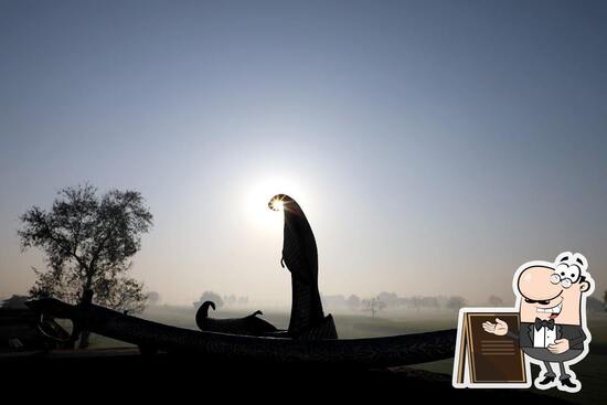 Paras Photo Gallery, Bathinda