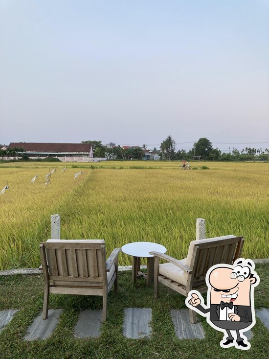 tok. Bar and Restaurant, tp. Hội An - Restaurant menu, prices and reviews