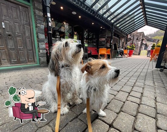The Alpine Coffee Shop, Betws-y-Coed - Restaurant menu, prices and reviews