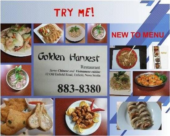 Carta de Golden Harvest Restaurant, Enfield
