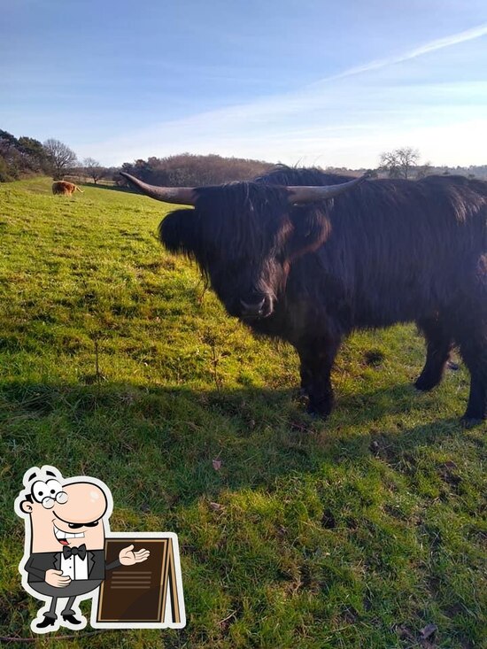 Lizzie's Farm in Bromsgrove - Restaurant reviews