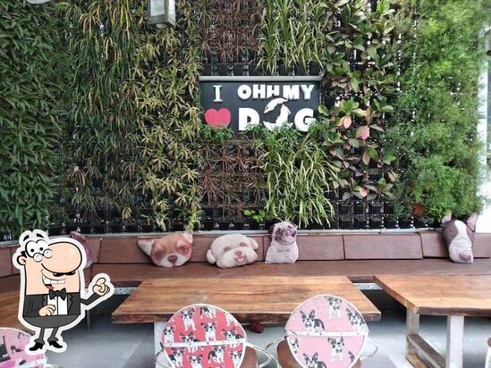 Ohh My Dog Pefe, Mumbai - Restaurant reviews