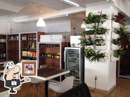 Plant Theory Creative Cuisine, Miami Beach - Restaurant menu, prices ...