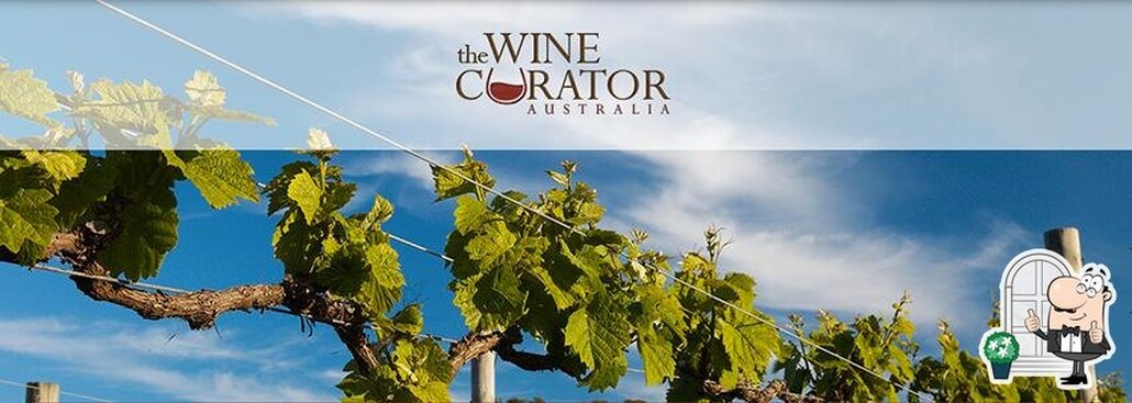 The Wine Curator in Elsternwick