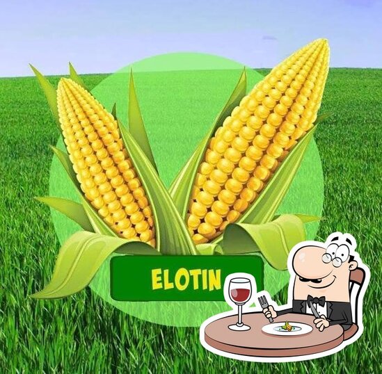Carta del pub y bar Elotin, Guadalajara