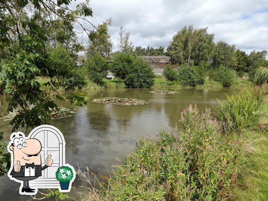 Pool Bridge Farm - Wild Swimming & Wellbeing, York - Menú del ...
