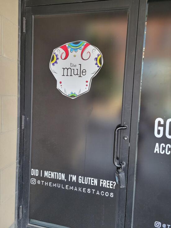The Mule in Cambridge
