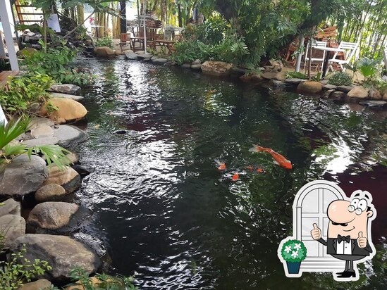Ruby Cafe Koi., Da Nang - Restaurant reviews