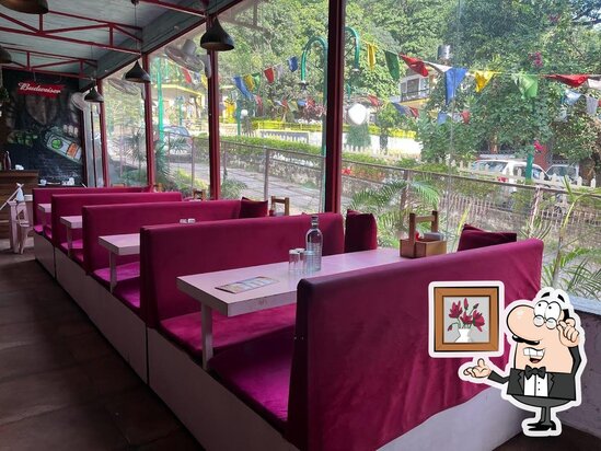 Pink Cafe Bar and Restaurant Best Restaurants in Rishikesh Best Cafe in ...