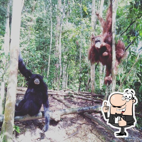 HOTEL Orangutan Restaurant & BAR, Bukit Lawang - Opiniones del restaurante