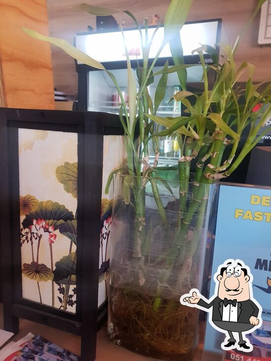 HARU Sushi & Bubble Tea Preller restaurant, Bloemfontein - Restaurant ...