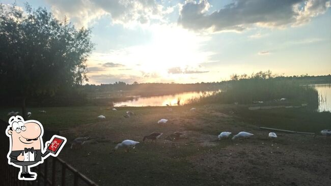 Trees Eco Fun Park cafe, Benoni - Restaurant reviews