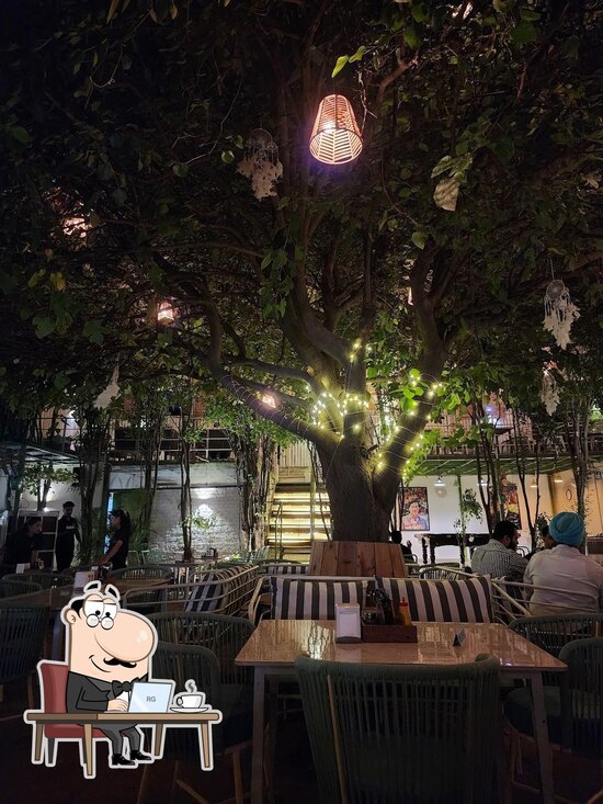 KAVO, Gurugram - Restaurant menu, prices and reviews