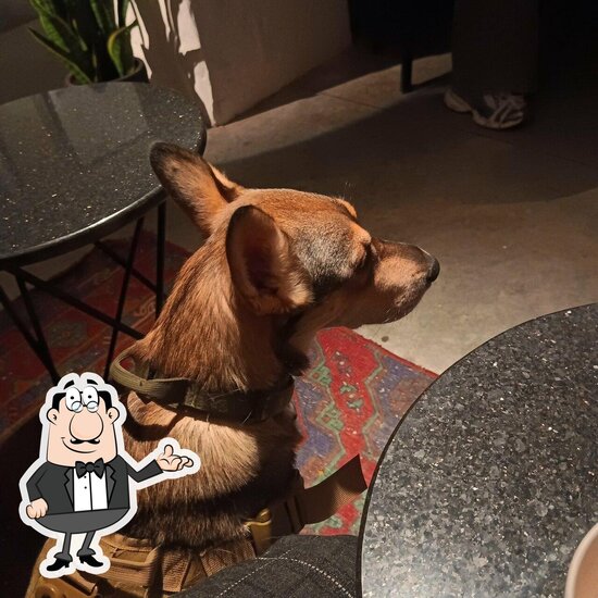 Surf Coffee, Moscow - Restaurant menu, prices and reviews
