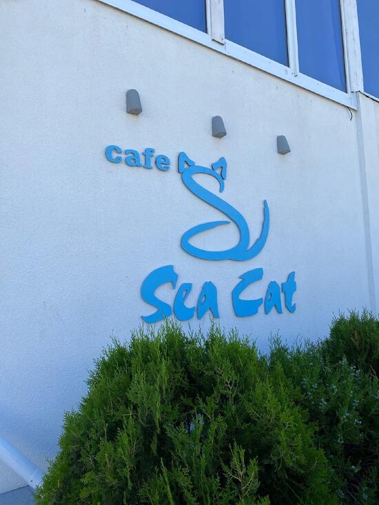 Menu at SeaCat restaurant, Sonyachnohirs'ke