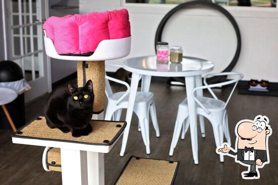 Happy Cat Cafe in Grand Rapids - Restaurant menu and reviews