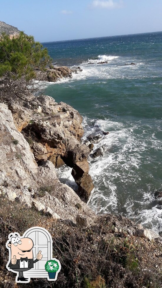 Restaurante Cala Rotja in Canyamel - Restaurant reviews