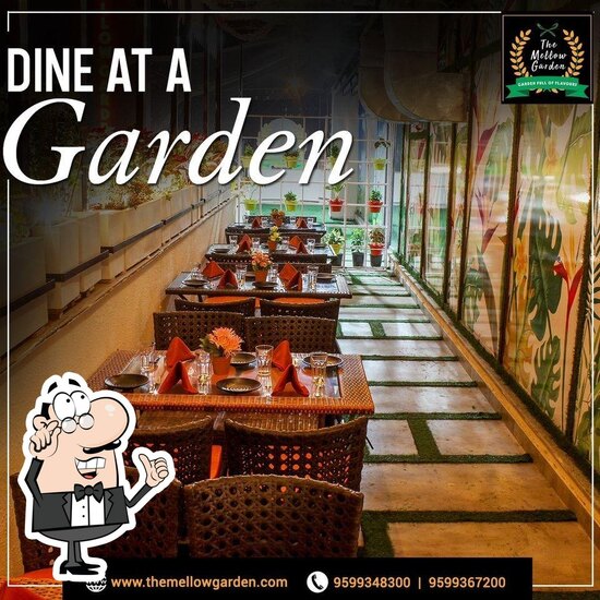 The Mellow Garden, Gurugram - Restaurant menu, prices and reviews