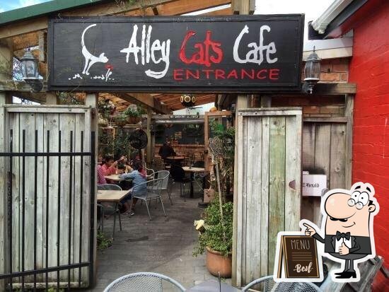 Menu at Alley Cats Cafe, Tirau