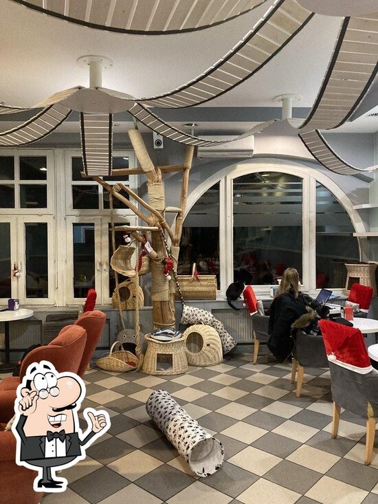 Mrau Cafe Kocia Kawiarnia, Lublin - Menú del restaurante, precios y reseñas